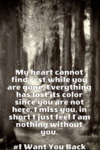 40+ Love Quotes to Get Him Back Forever (Romantic & Emotional)