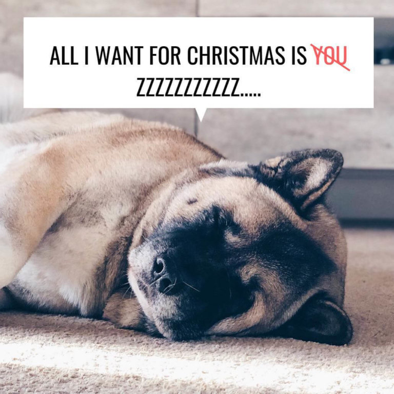100 Merry Christmas WhatsApp Statuses to Wish Friends 2020